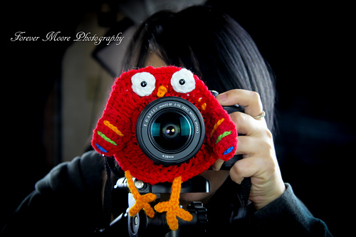 Ravelry: Parrot Camera Lens Buddy pattern by Allison Booker