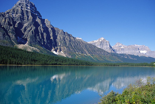 Ravelry: alpach's Alberta