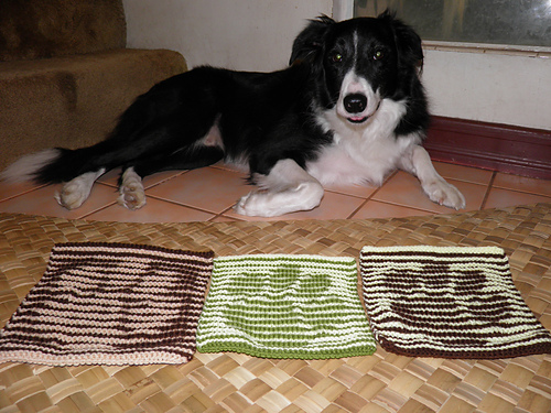 Ravelry: Paw Print Illusion Knit pattern by Kimberly Kwon