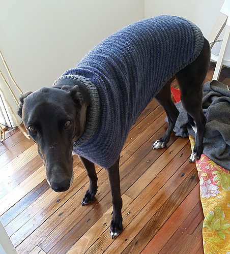 Ravelry: Stripey Greyhound Sweater pattern by A Piece of Cloth