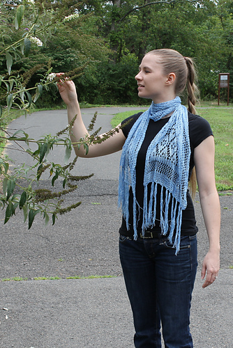 Ravelry: Not A Cloud Shawl/Scarf pattern by Liz Capik