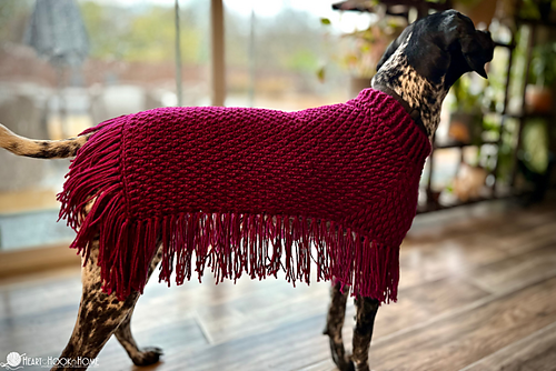 Ravelry: Dog Poncho pattern by Ashlea Schumaker