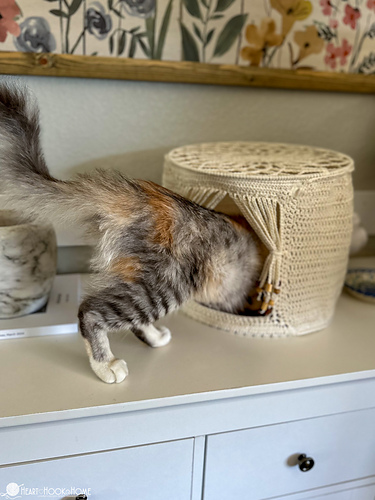 Ravelry: Cat Cave pattern by Ashlea Schumaker