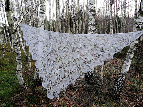 Ravelry: Fragile Mantling Shawl pattern by Jolanta Zwierzchowska