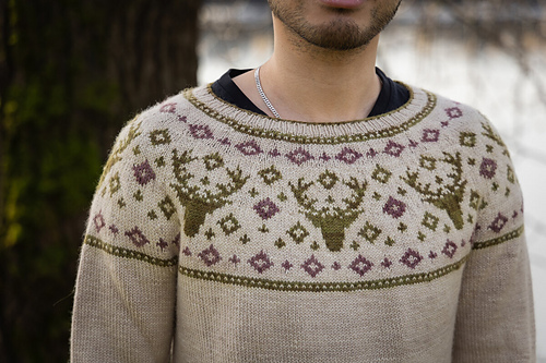 Ravelry: O'Deery Me Sweater pattern by Caitlin Shepherd