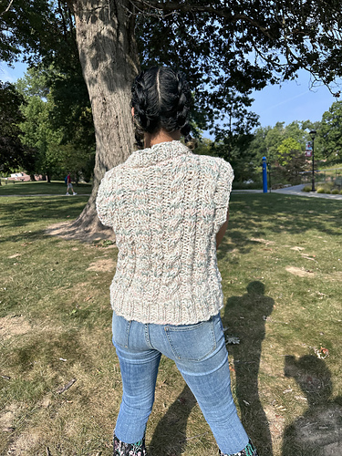 Ravelry: Braidy Vest pattern by Brenda Lam