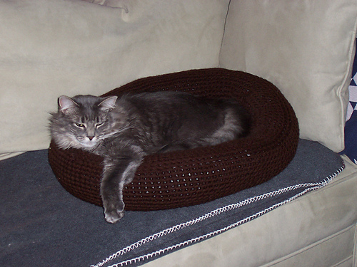 Ravelry: Pampered Pets - Snuggly Mouse Bed pattern by Cynthia (Cindy ...