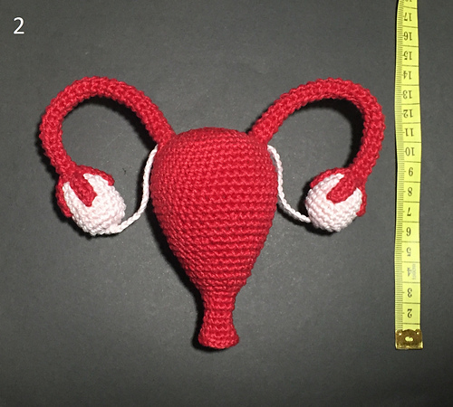 Ravelry: Anatomical Uterus pattern by Isabela Bessa
