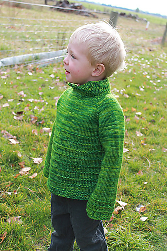 Ravelry: Toby Sweater pattern by Holly Stevens