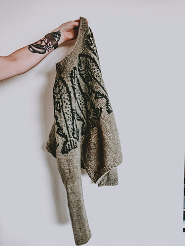 Ravelry: King Salmon pattern by Caitlin Hunter