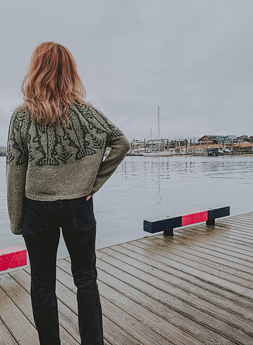 Ravelry: King Salmon pattern by Caitlin Hunter