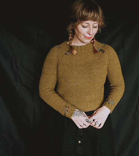 Ravelry: Briar & bramble pattern by Caitlin Hunter