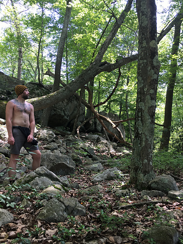 Ravelry: Black Ash Hat pattern by Mat Kladney