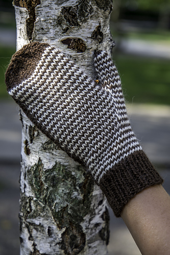 Ravelry: Single Stripe Mittens pattern by Gretchen Tracy