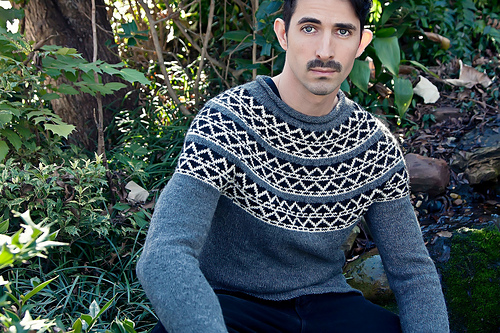 Ravelry: Beowulf Sweater pattern by Anne Podlesak