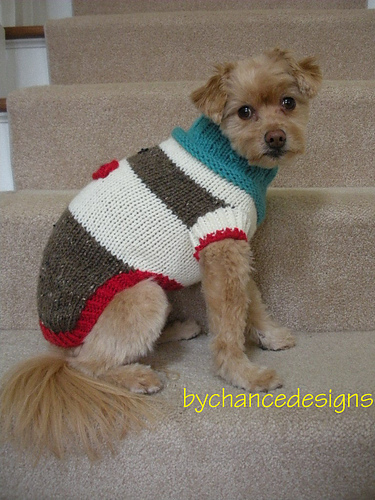 Ravelry: Sock Monkey Dog Sweater pattern by Esther MacInnes ...