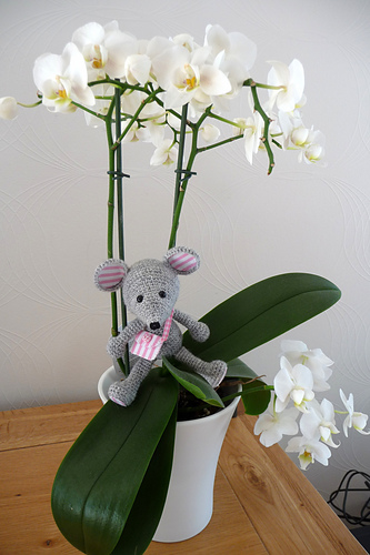 Ravelry: Matilda Mouse pattern by Helen Rolf