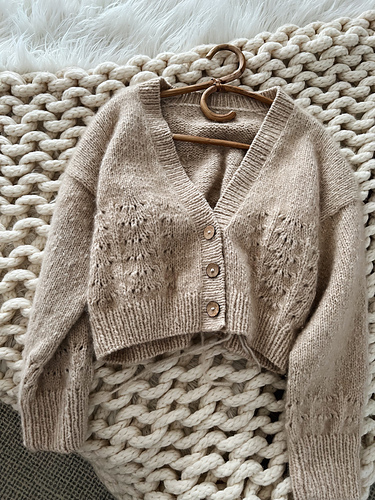 Ravelry: Dunes Cardigan pattern by Caidree