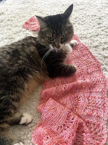 Ravelry: Long Story Short pattern by Casapinka