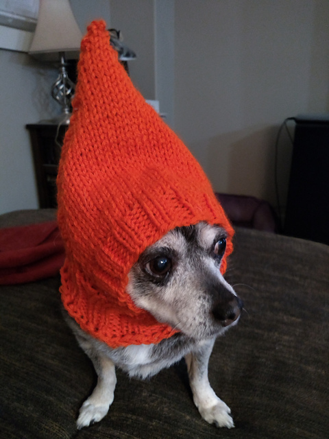 Ravelry: catwoman100100's Pointy Dog Hat - Oct 2019