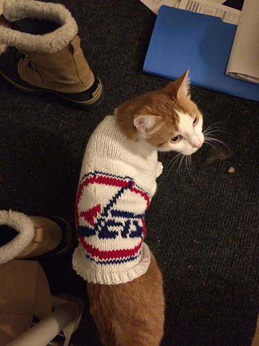 Ravelry: Winnipeg Jets Charts pattern by Twisted Bark Designs