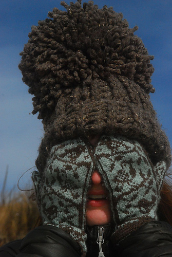 Ravelry: Bird Mitten Chart pattern by Hanneke Sieben