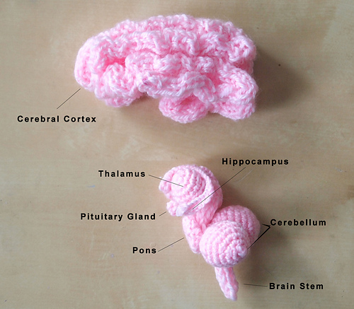 Ravelry: Yarn Brain pattern by Christine Nast