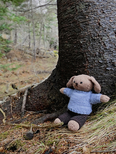 Ravelry: Bramble Puppy pattern by Teresa Runnett