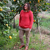 Ravelry: cocorina's Light Red Lotta