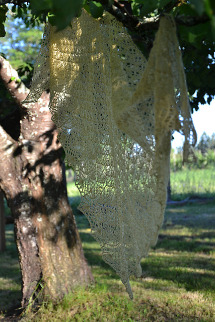 Ravelry: confituralamure's Châle Leaf Evolution Mystery KAL