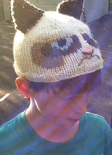 Ravelry: Grumpy Hat - Hat with Tardar Sauce, the Grumpy Cat's face ...