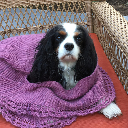 Ravelry: Wraptastic pattern by Susan Ashcroft