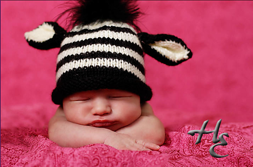 Ravelry: Zoe's Zebra Hat pattern by Sheila Zachariae