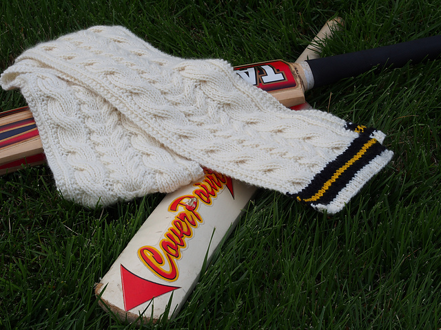 Ravelry: BandytKnits' Cricket Sweater Scarf *Test*