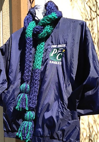 Ravelry: 2-Hour School Spirit Scarf pattern by Dayna Scoles