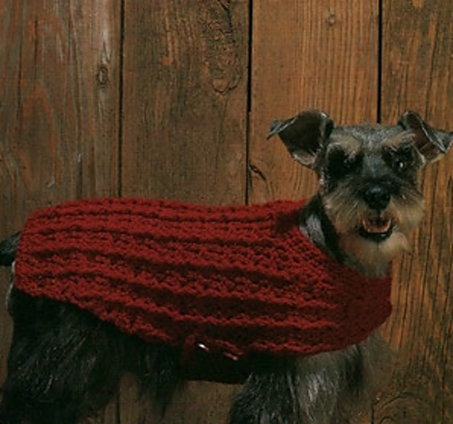 Ravelry: Canine Cardigan pattern by Evie Rosen