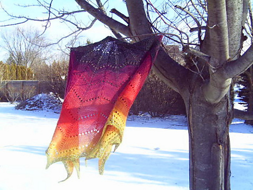 Ravelry: dlauro's Maple Tree Shawl