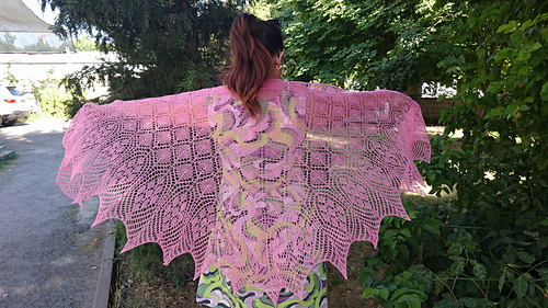 Ravelry: donnaGala's Ethereal shawl