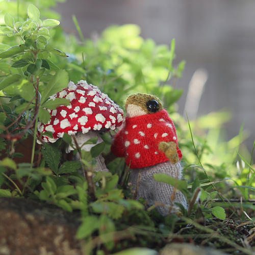 Ravelry: Frog and Toad pattern by Claire Garland