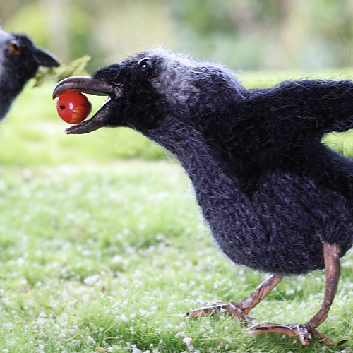 Ravelry: Little Crow pattern by Claire Garland