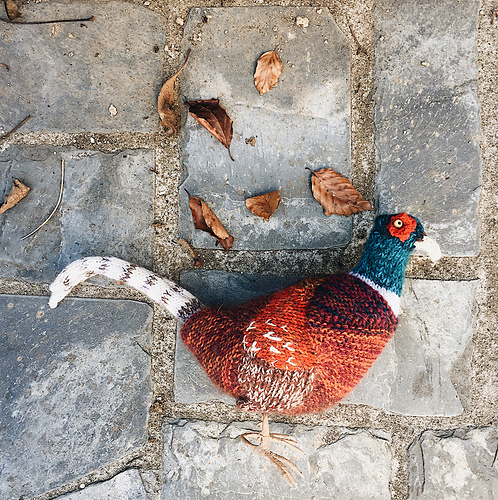 Ravelry: Pheasant pattern by Claire Garland