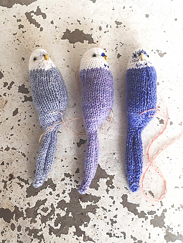 Ravelry: Budgerigar pattern by Claire Garland