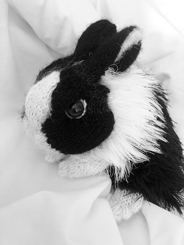 Ravelry: Dutch Bunny pattern by Claire Garland