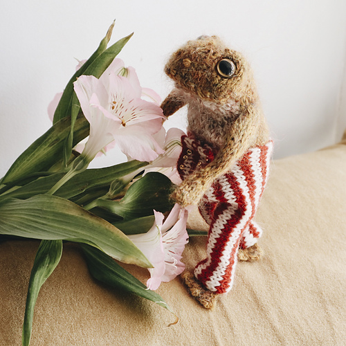 Ravelry: Mr Toad pattern by Claire Garland