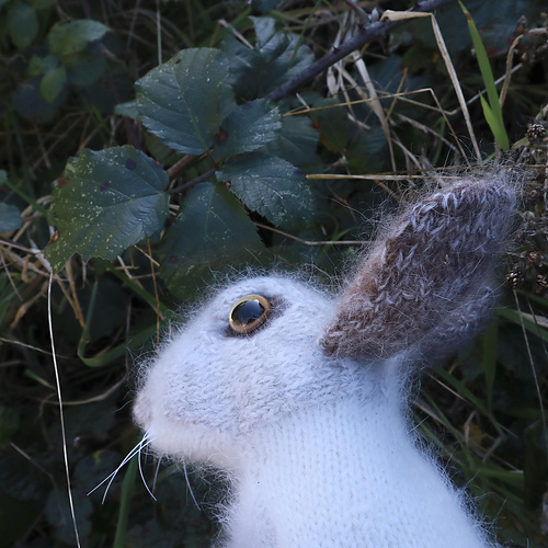 Ravelry: Snowshoe Hare pattern by Claire Garland