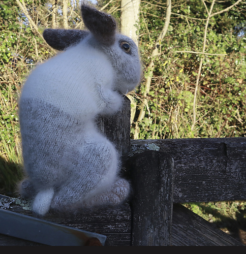 Ravelry: Snowshoe Hare pattern by Claire Garland