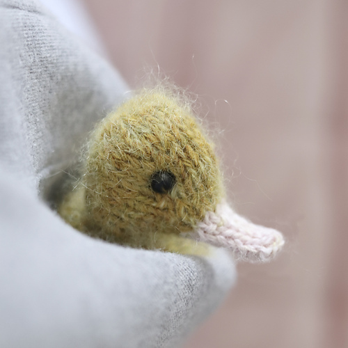 Ravelry: Lucky Duckling pattern by Claire Garland
