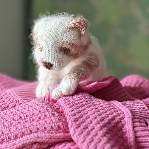 Ravelry: New Born Puppy pattern by Claire Garland