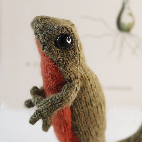 Ravelry: Newt pattern by Claire Garland
