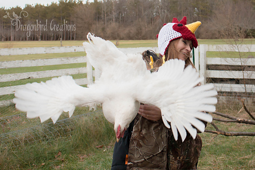 Ravelry: Rooster Hat pattern by Shawn Torres